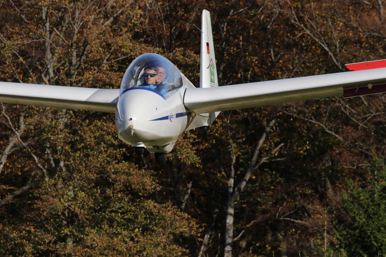 Piloto De Planeador Delta Avión - Foto gratis en Pixabay - Pixabay