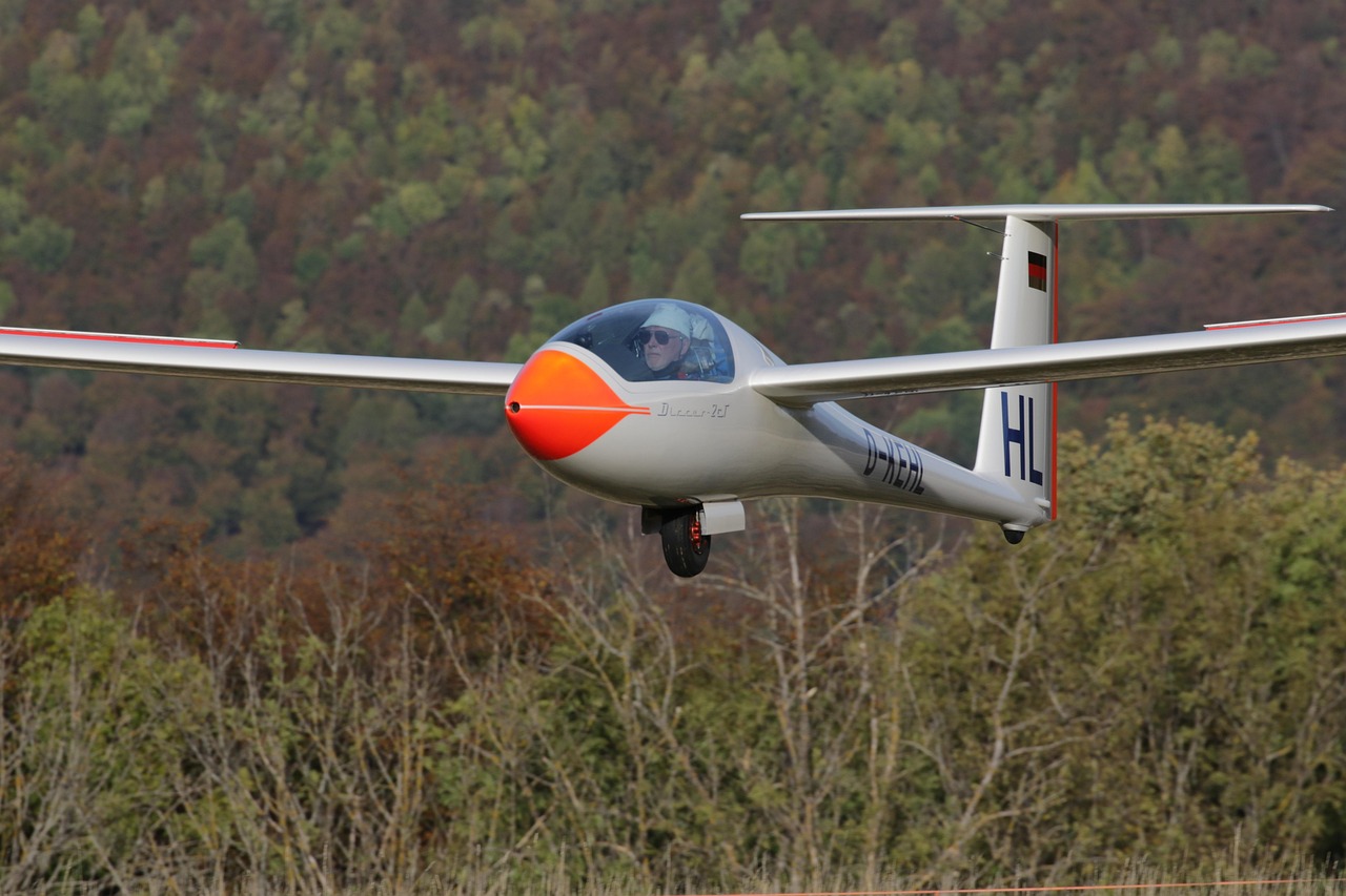 Piloto De Planeador Delta Avión - Foto gratis en Pixabay - Pixabay