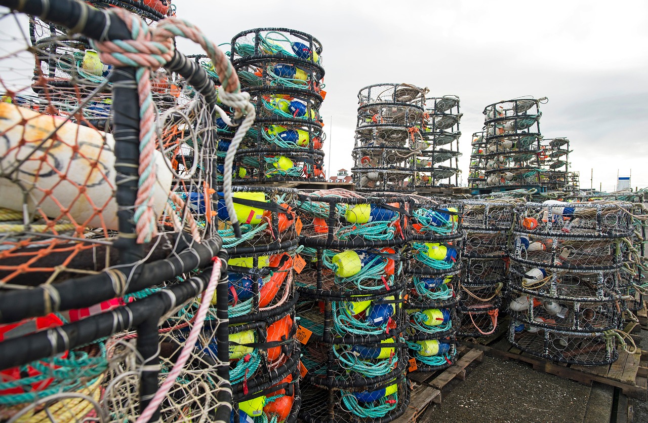 Crab Pots Season Crabs - Free photo on Pixabay - Pixabay
