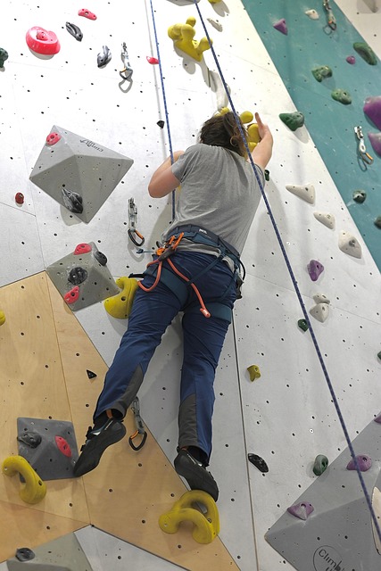 Kletterwand Klettern Hochklettern - Kostenloses Foto auf Pixabay - Pixabay