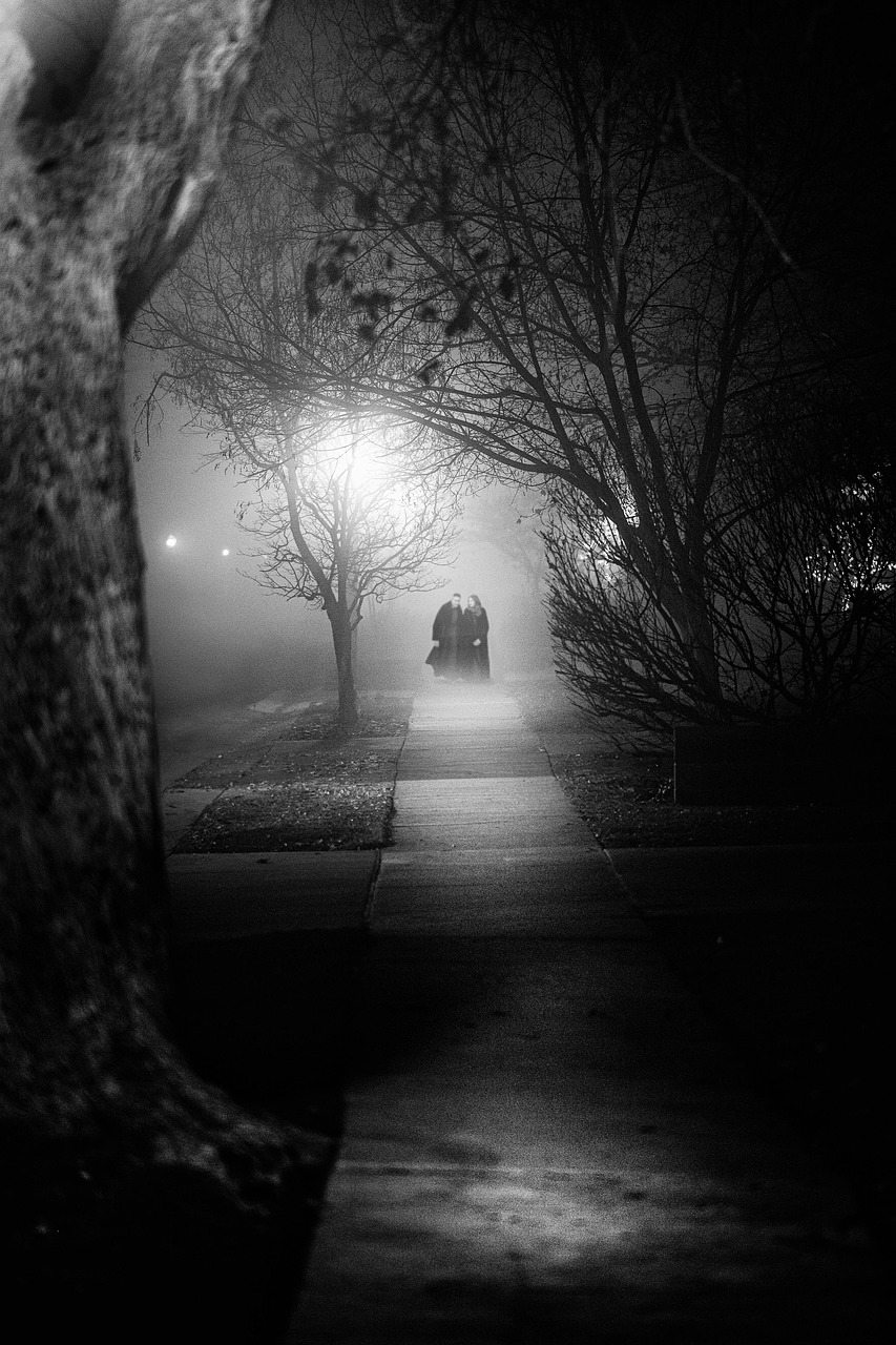 50,000+ Free Streetlight Night & Night Images - Pixabay