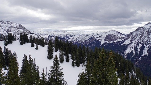 Mountains Fir Trees Summit - Free photo on Pixabay - Pixabay