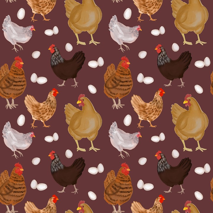Download Chicken, Hen, Bird. Royalty-Free Stock Illustration Image ...