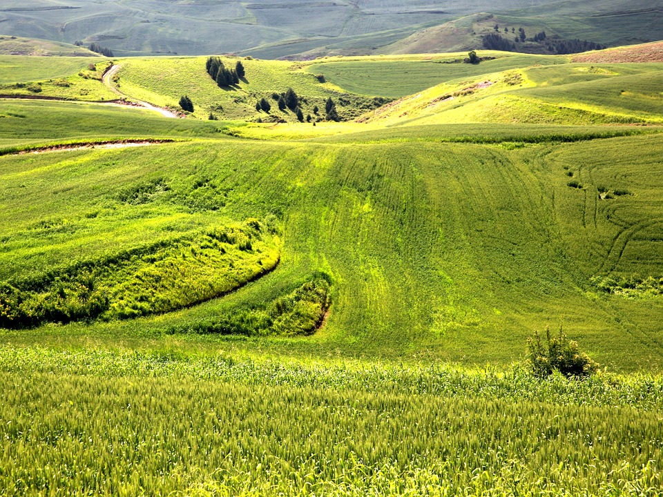 Xinjiang Grassland Snow Mountain - Free photo on Pixabay - Pixabay