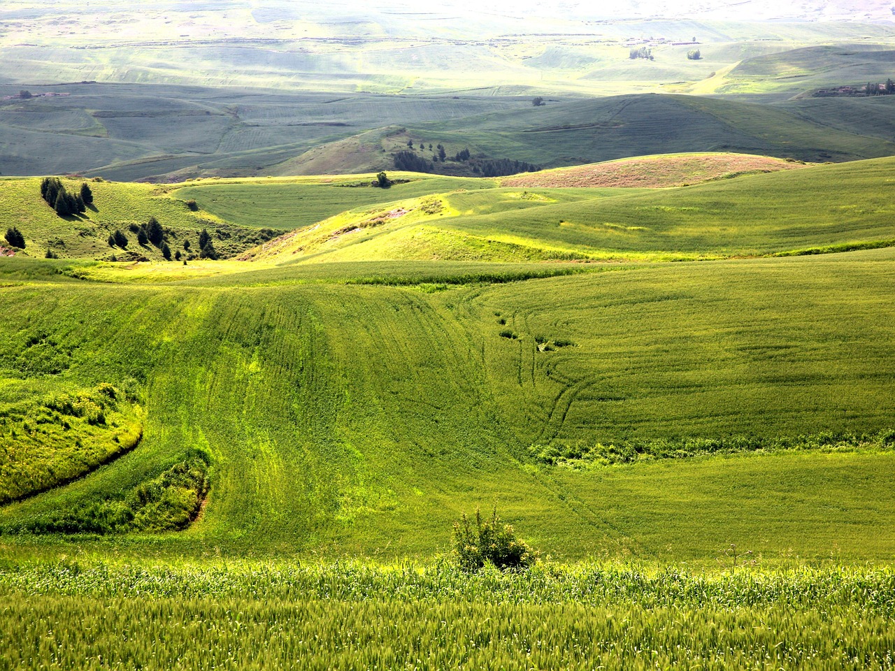 Xinjiang China Natural - Free photo on Pixabay - Pixabay