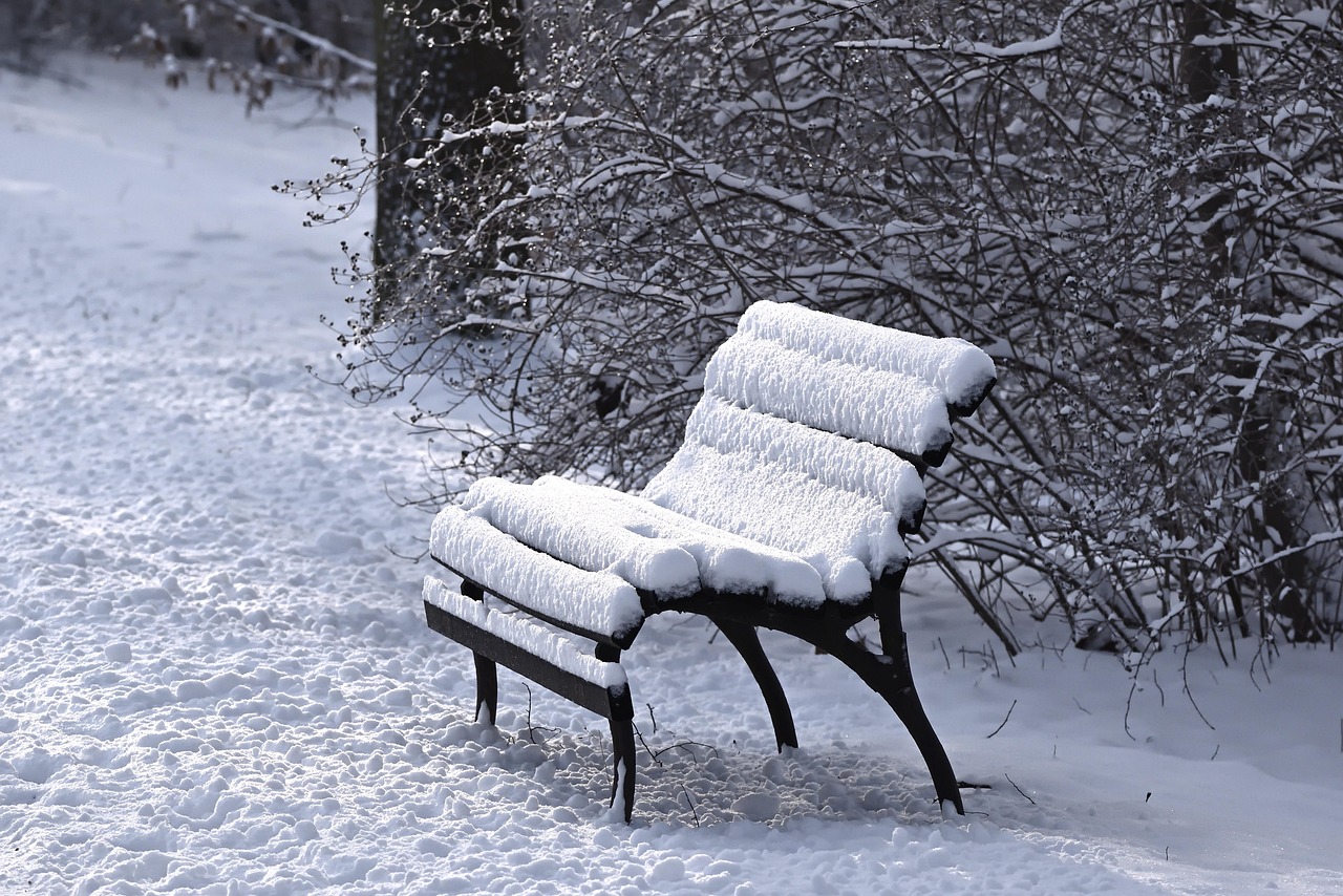 80,000+ Free Snow Banks & Snow Images - Pixabay