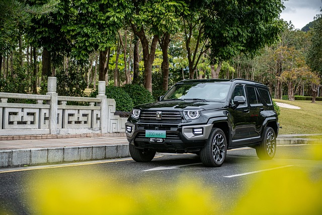 Tank 700 Great Wall Motor Gwm - Free photo on Pixabay - Pixabay