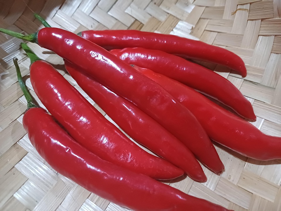 Große Rote Chili - Kostenloses Foto auf Pixabay - Pixabay