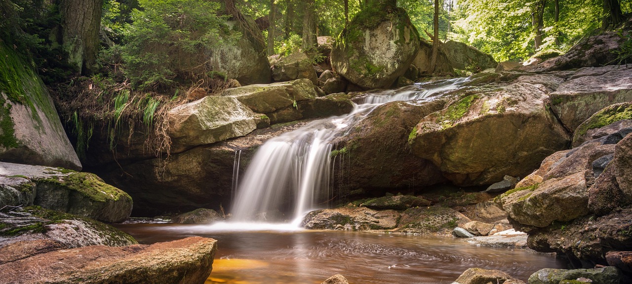 Hutan Hitam Tinggi Air Terjun - Foto gratis di Pixabay - Pixabay
