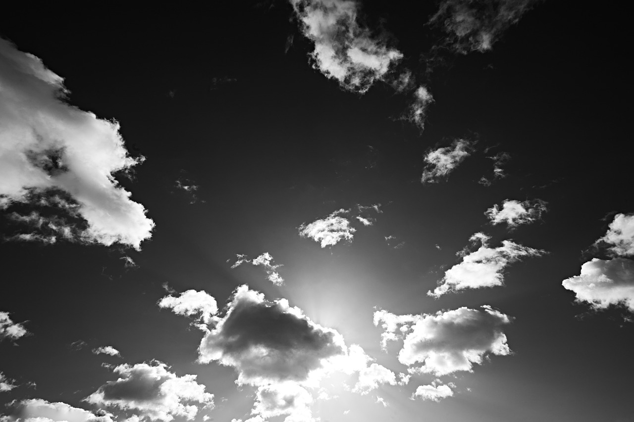 Noir Et Blanc Beaux-Arts Art - Image gratuite sur Pixabay - Pixabay