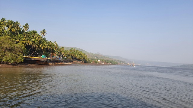 Dabhol Creek River - Free photo on Pixabay - Pixabay