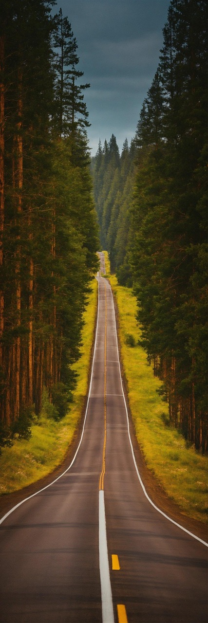 Explore 7,591+ Free Road Trip Illustrations: Download Now - Pixabay