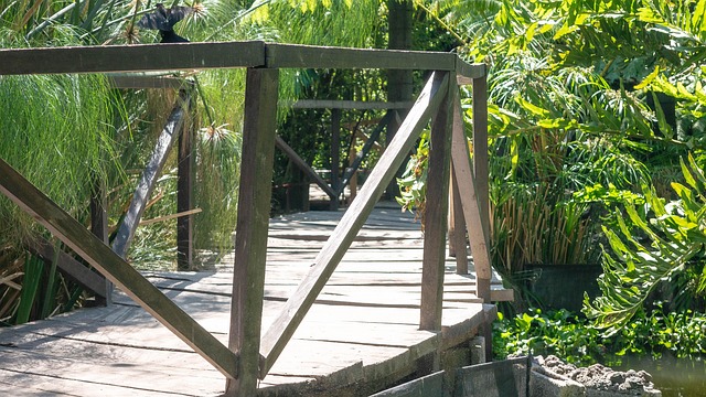 Bridge Natural Wood - Free photo on Pixabay - Pixabay
