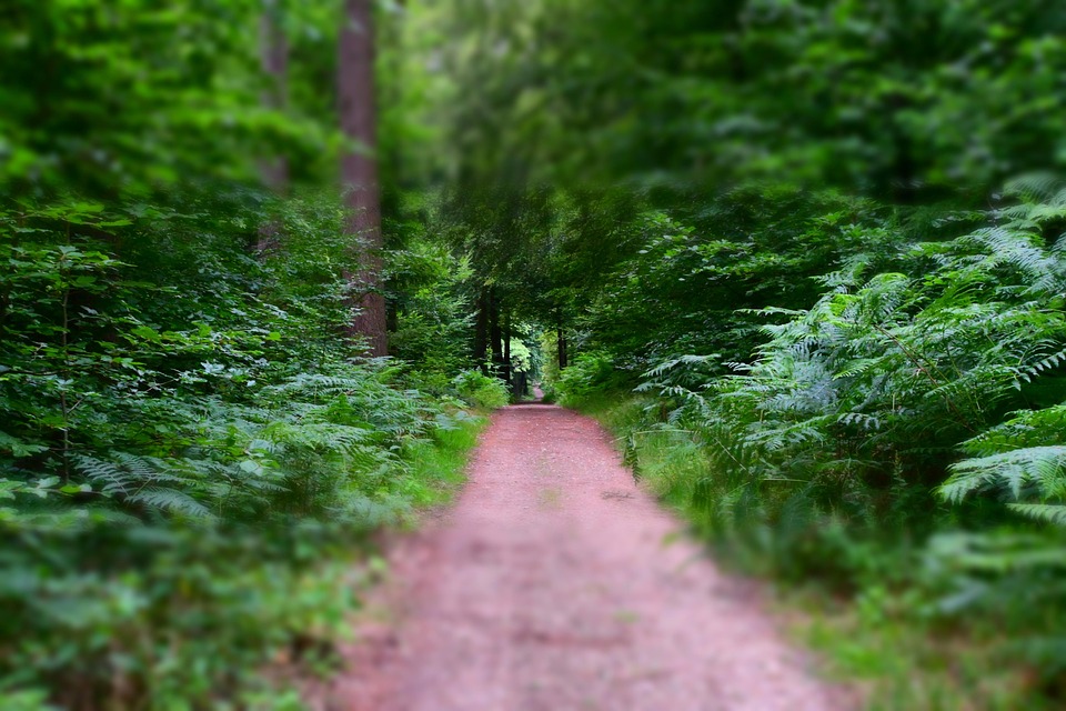 Hiking Berjalan Jalan - Foto gratis di Pixabay