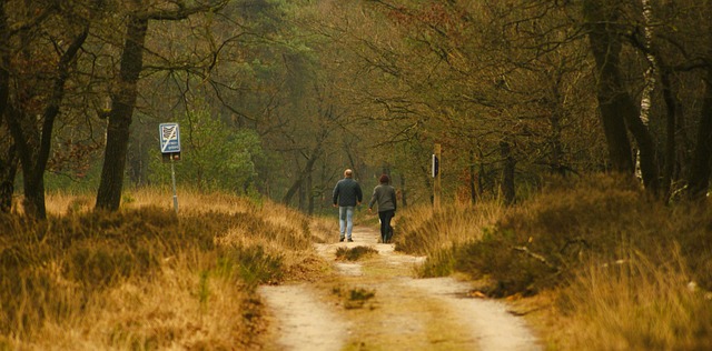Hiking Orang Alam - Foto gratis di Pixabay - Pixabay