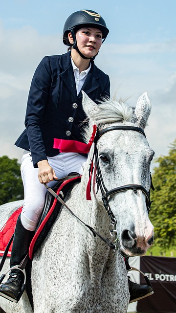 Horse Equestrian Rider Race - Free photo on Pixabay - Pixabay