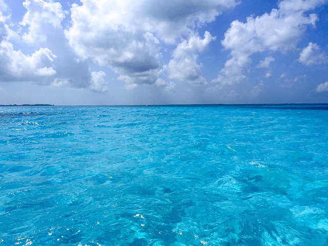 100+ Free Cayman & Cayman Islands Images - Pixabay