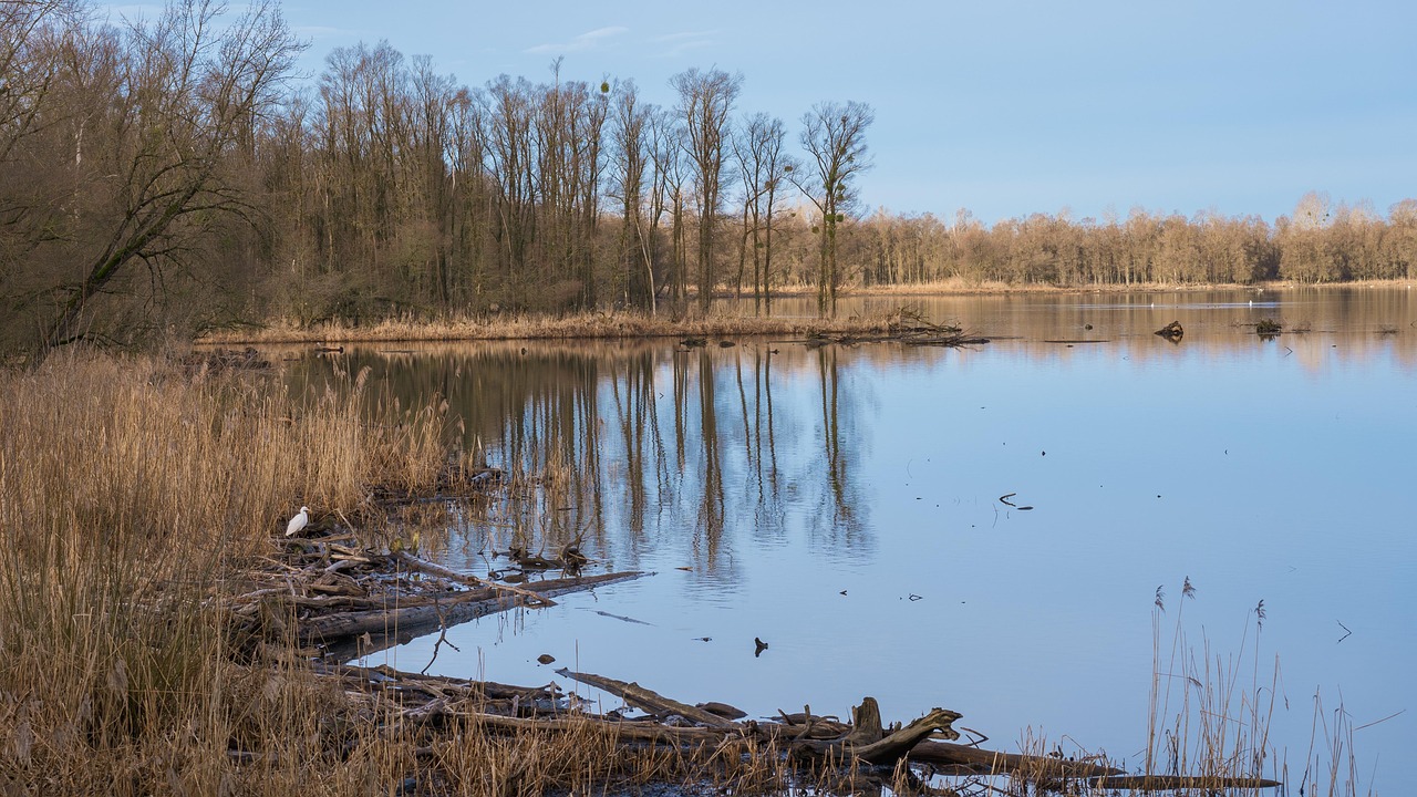 Lake Bay Nature - Free photo on Pixabay - Pixabay