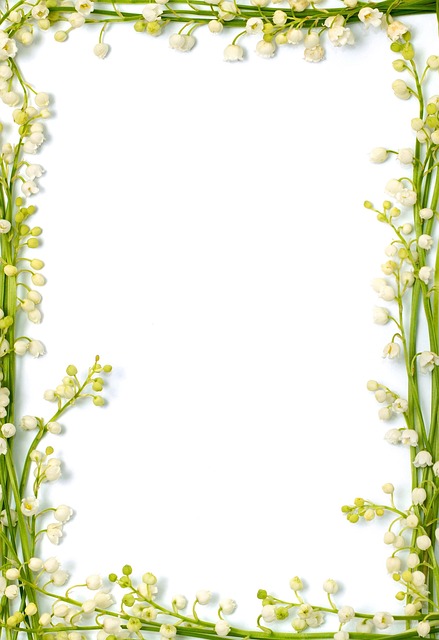 Fleur Cadre Feuille - Image gratuite sur Pixabay - Pixabay
