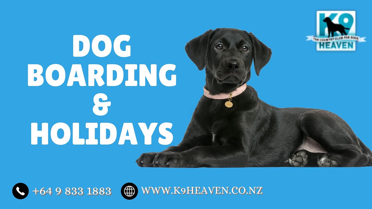 Dog Boarding Service - Free photo on Pixabay - Pixabay