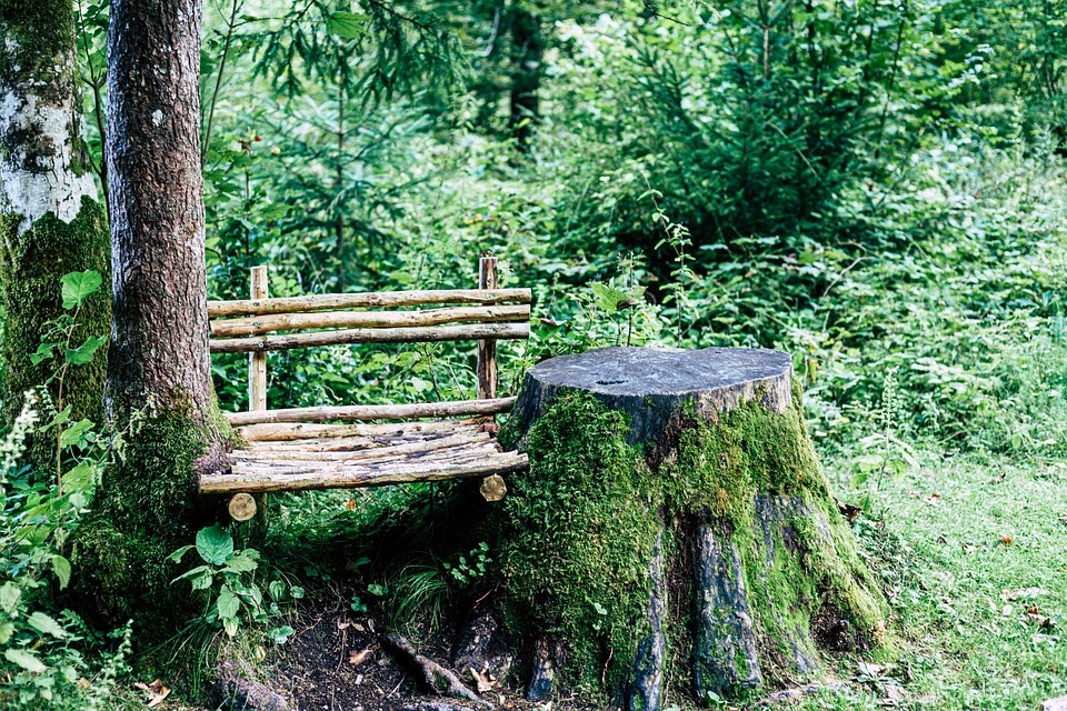 Wallpaper Bench Silence - Free photo on Pixabay - Pixabay