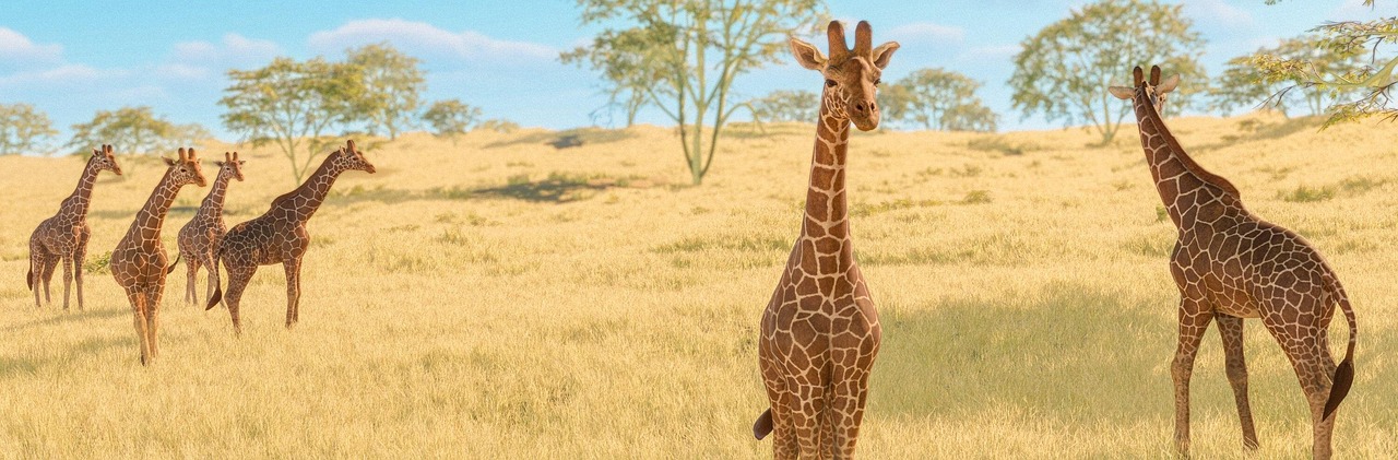 Giraffes With Their Friends - Free photo on Pixabay - Pixabay