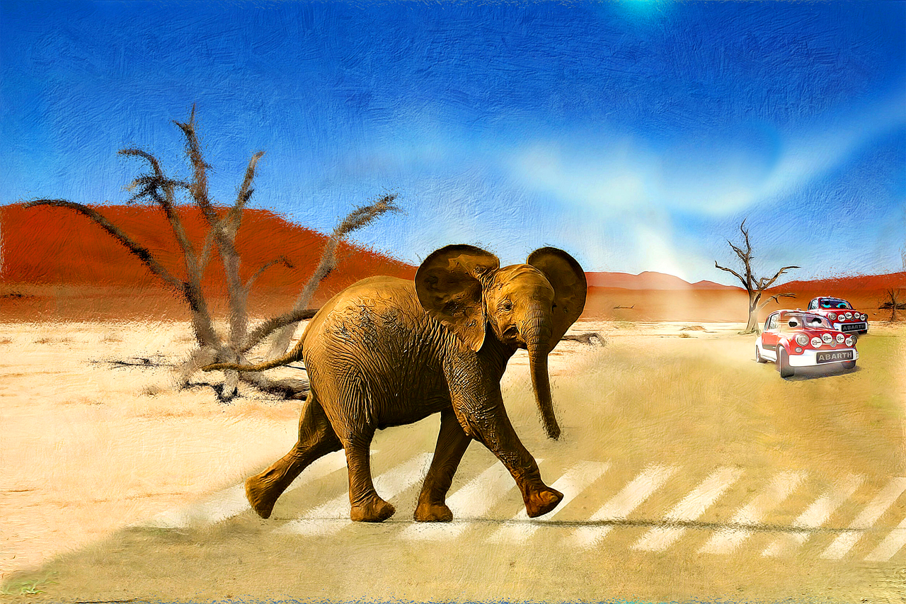 Baby Elefant Wüste - Kostenloses Bild auf Pixabay - Pixabay