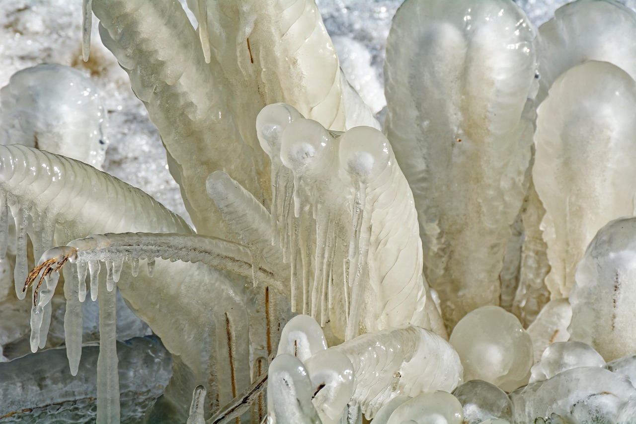 Gelo Inverno Congelados Pingentes - Foto gratuita no Pixabay - Pixabay