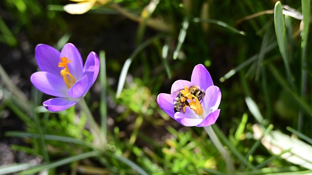 Couple Means Two - Free photo on Pixabay - Pixabay
