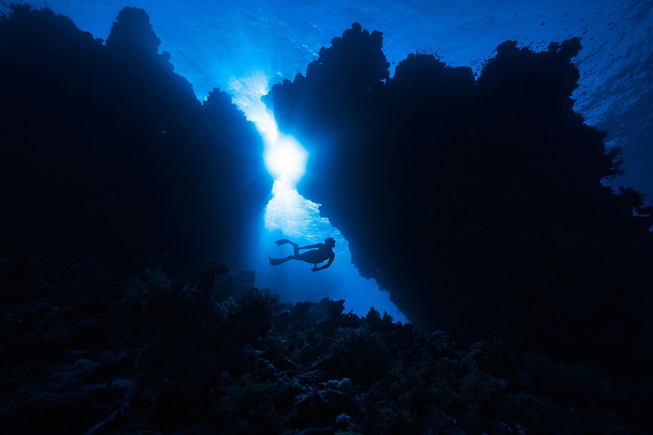 Underwater Sea Diving - Free photo on Pixabay