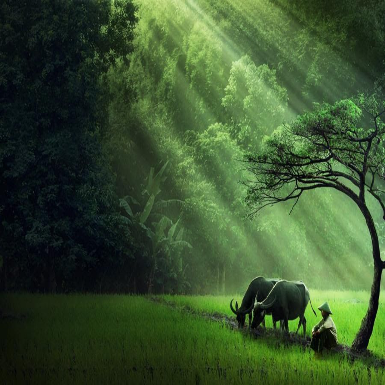 Download Animal, Natural, Pet. Royalty-Free Stock Illustration Image ...