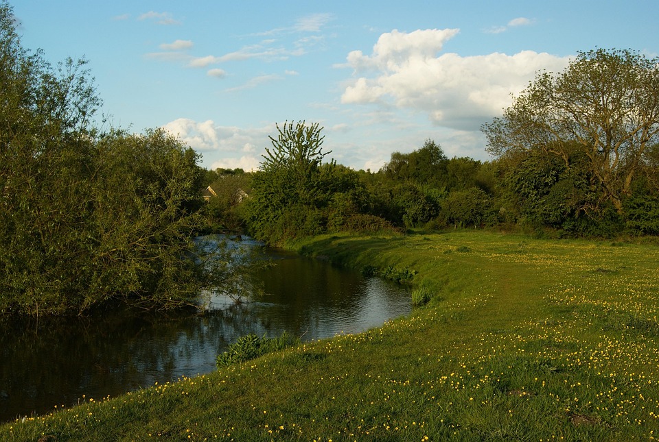 England River Hertfordshire - Free photo on Pixabay - Pixabay