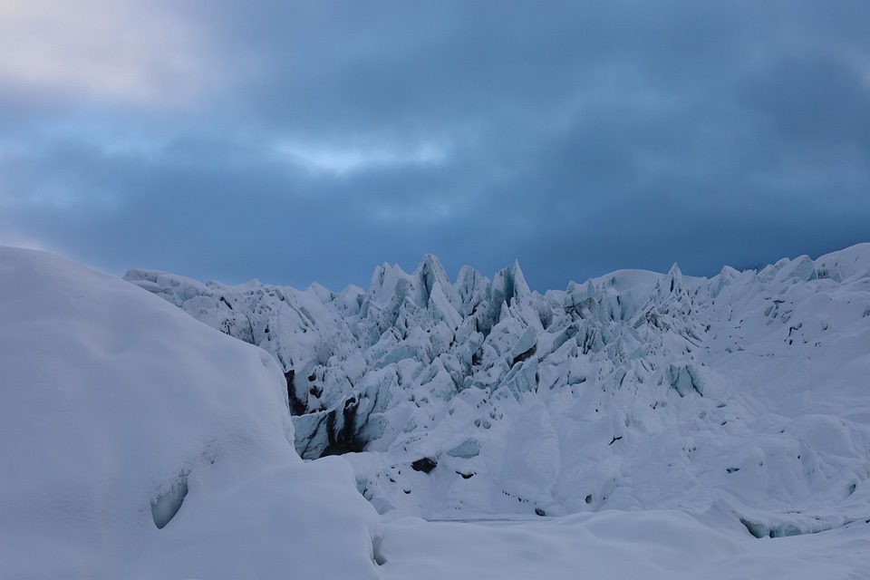 Alaska Wildes Leben Wildheit - Kostenloses Foto auf Pixabay - Pixabay