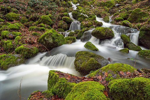 Landscape, Nature, Water. Free Stock Video - Pixabay