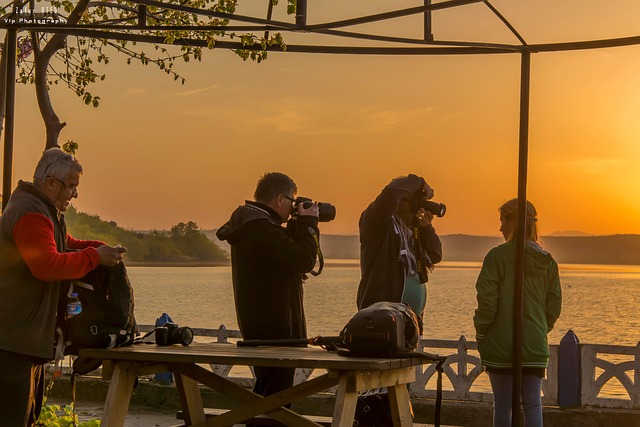 Sommer Foto Natur - Kostenloses Foto auf Pixabay - Pixabay