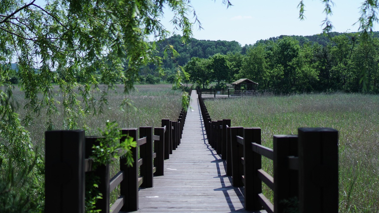 Wooden Bridge Marsh Landscape - Free photo on Pixabay - Pixabay
