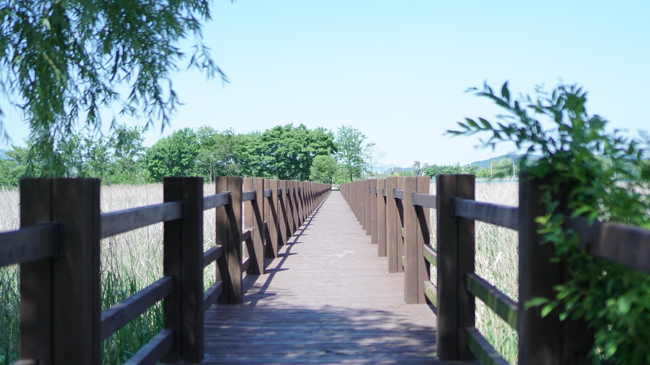 Holzbrücke Sommerlandschaft Grüne - Kostenloses Foto auf Pixabay - Pixabay