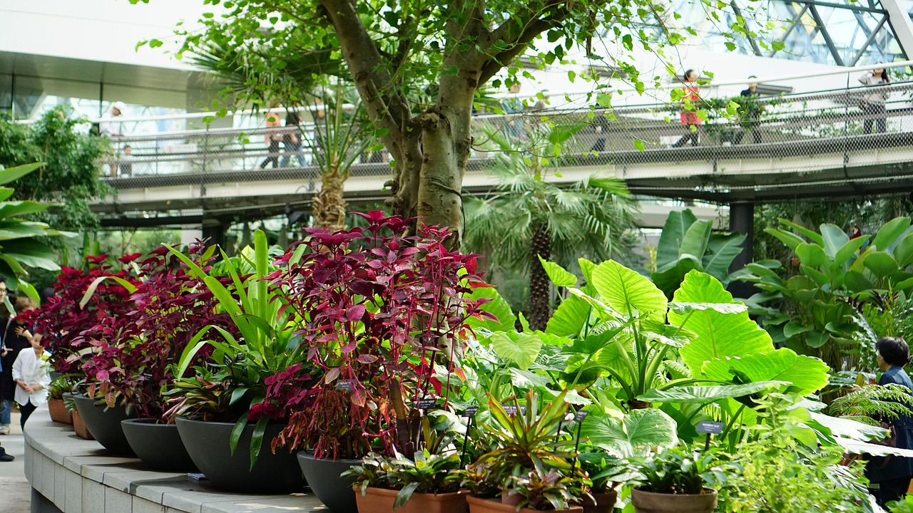 Botanical Garden Flower - Free photo on Pixabay - Pixabay