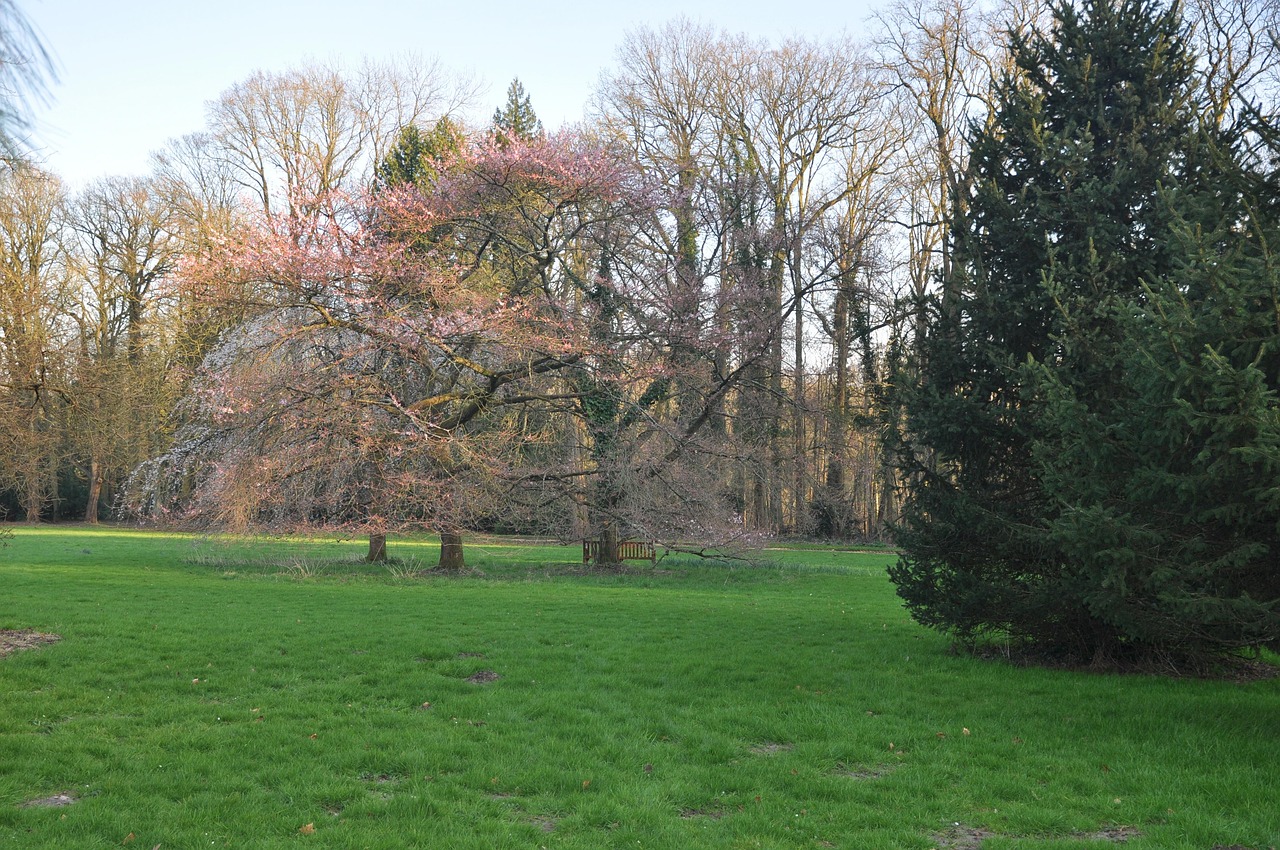 Botanical Garden Nature Trees - Free photo on Pixabay - Pixabay