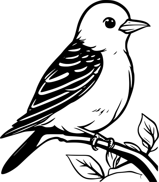 Download Bird, Nature, Animal. Royalty-Free Vector Graphic - Pixabay