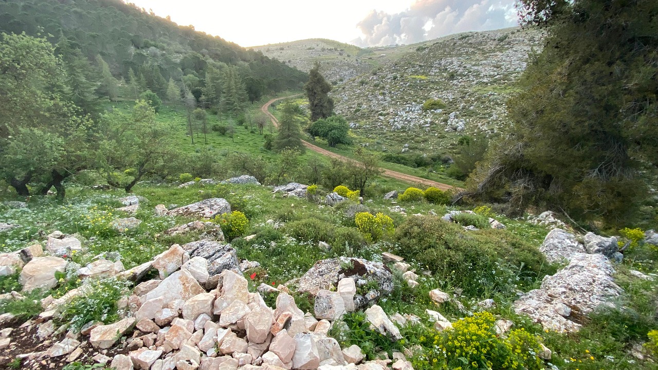 Galiléia Israel Natureza - Foto gratuita no Pixabay - Pixabay