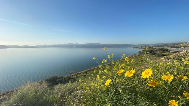Lake Kinneret Gennesaret Sea - Free photo on Pixabay - Pixabay