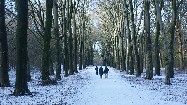 Hiking Orang Bersama - Foto gratis di Pixabay - Pixabay