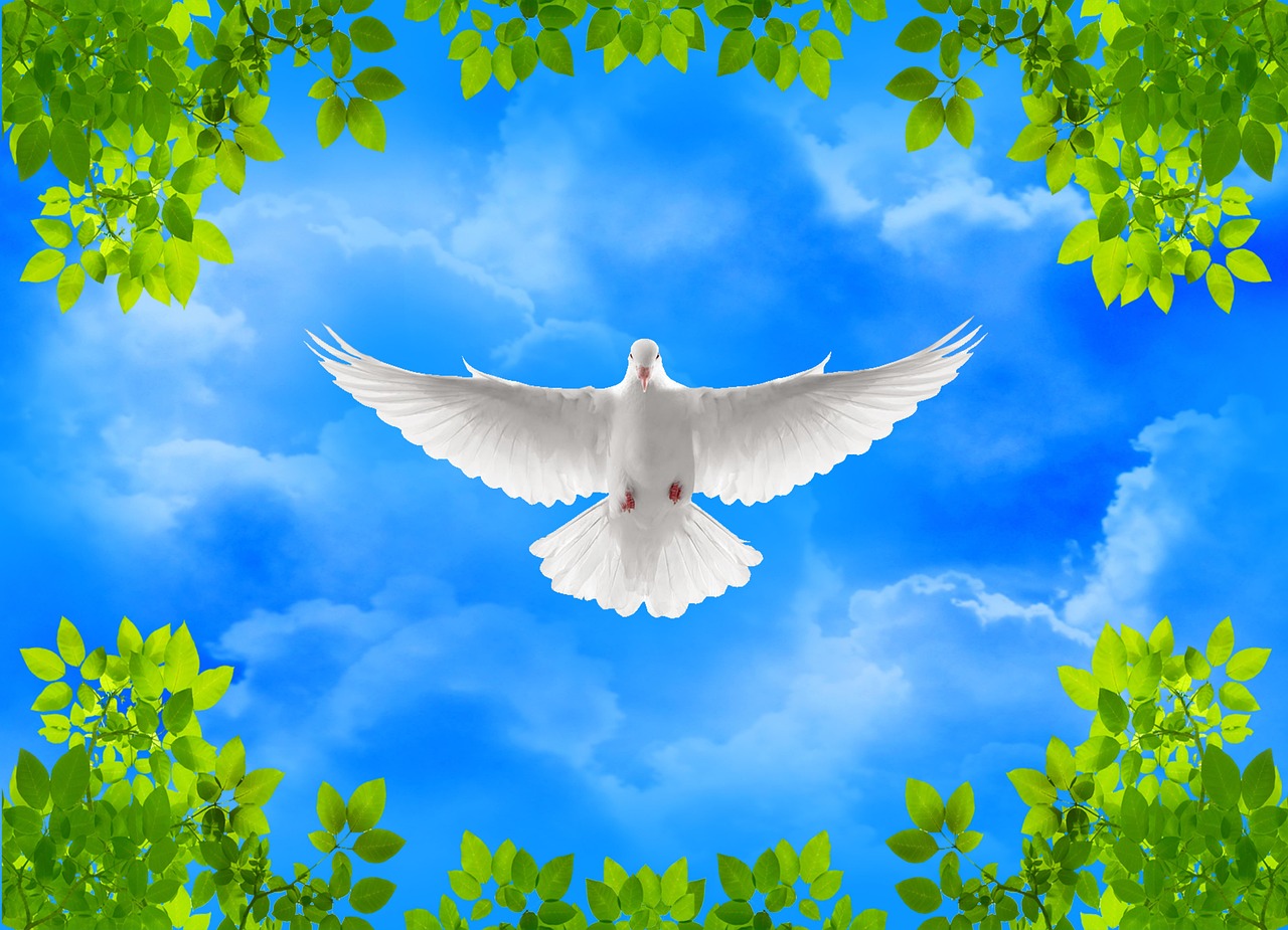 Esprit Saint Colombe Religion - Photo gratuite sur Pixabay - Pixabay