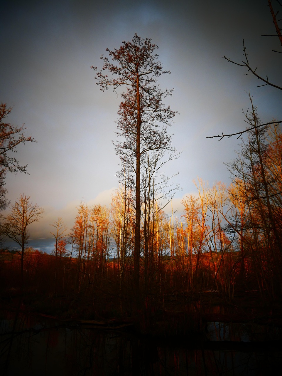 La Nature Paysage Vert Le - Photo gratuite sur Pixabay - Pixabay