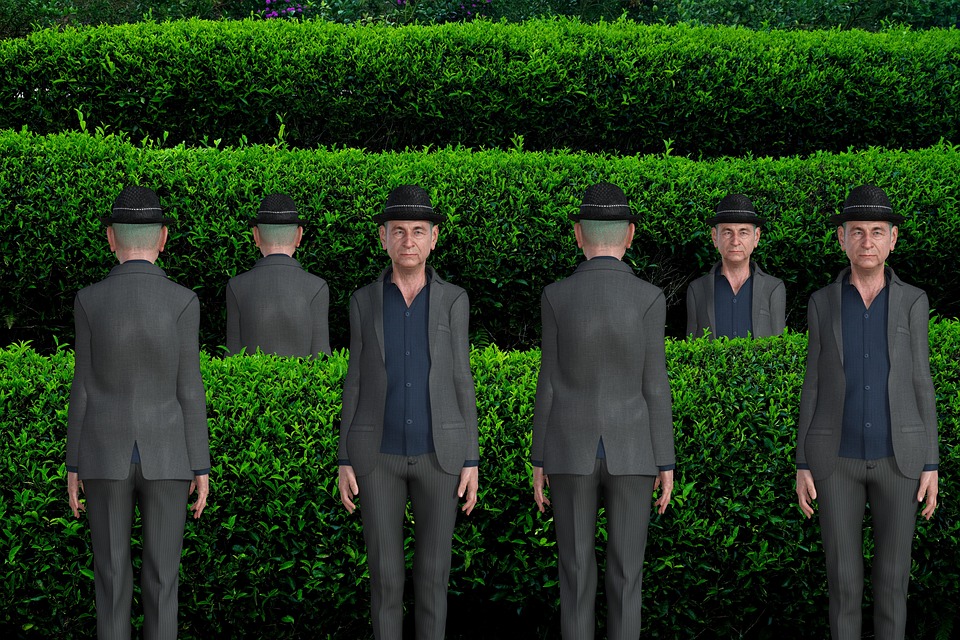 Mannetjes Weird Hedge - Free photo on Pixabay - Pixabay