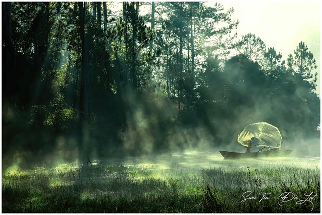 Purple Stream Da Lat Fishing Net - Free photo on Pixabay - Pixabay