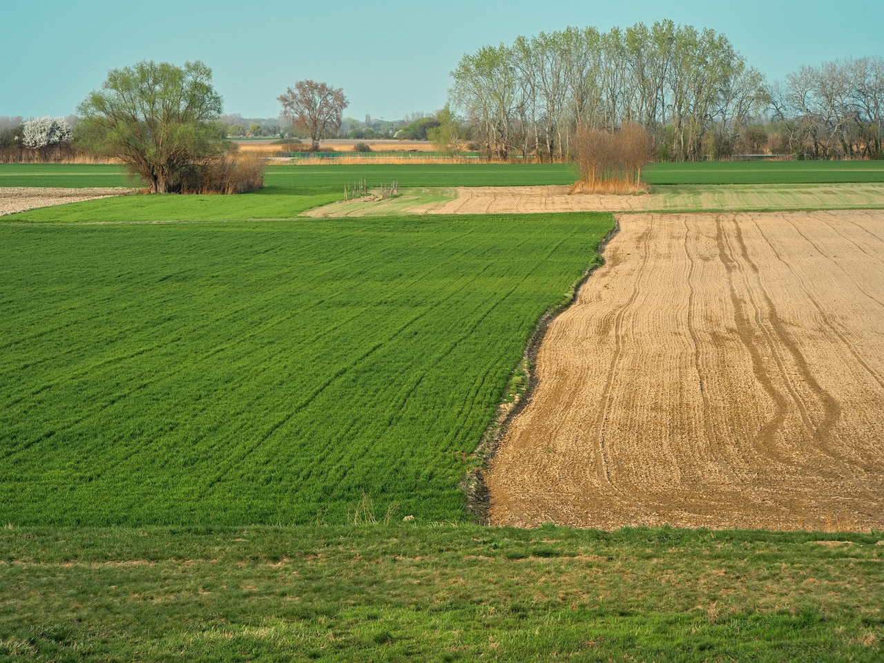 Polia Nature Country - Free photo on Pixabay - Pixabay