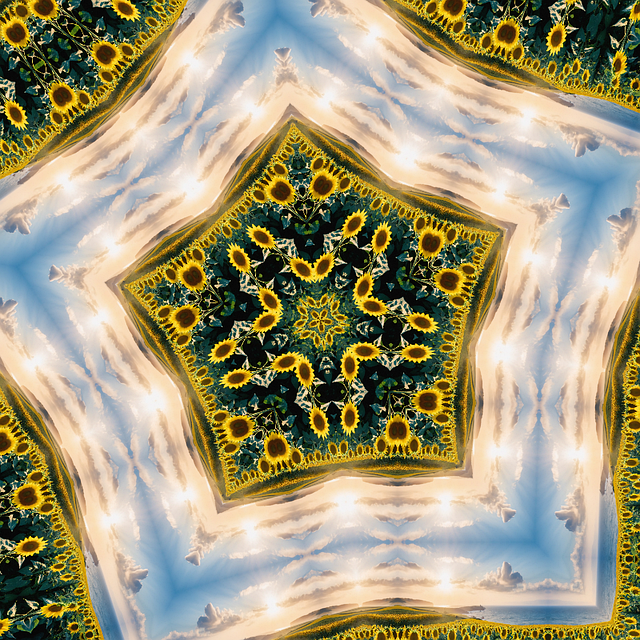 Download Sunflowers, Sun, Geometry. Royalty-Free Stock Illustration ...