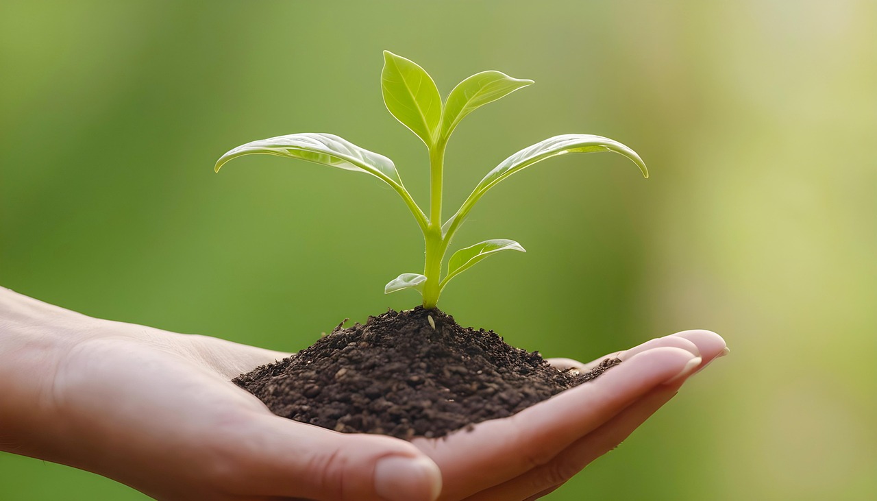 Download Ai Generated, Plant, Growth. Royalty-Free Stock Illustration ...